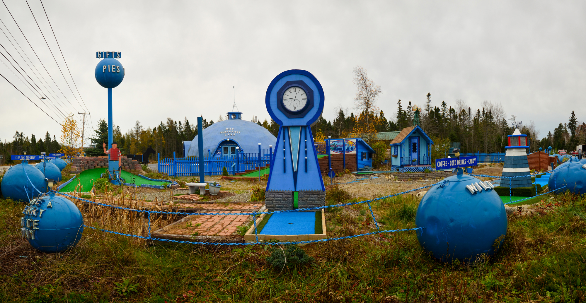 Wild Blueberry Land in Maine - jimstewart360.ca